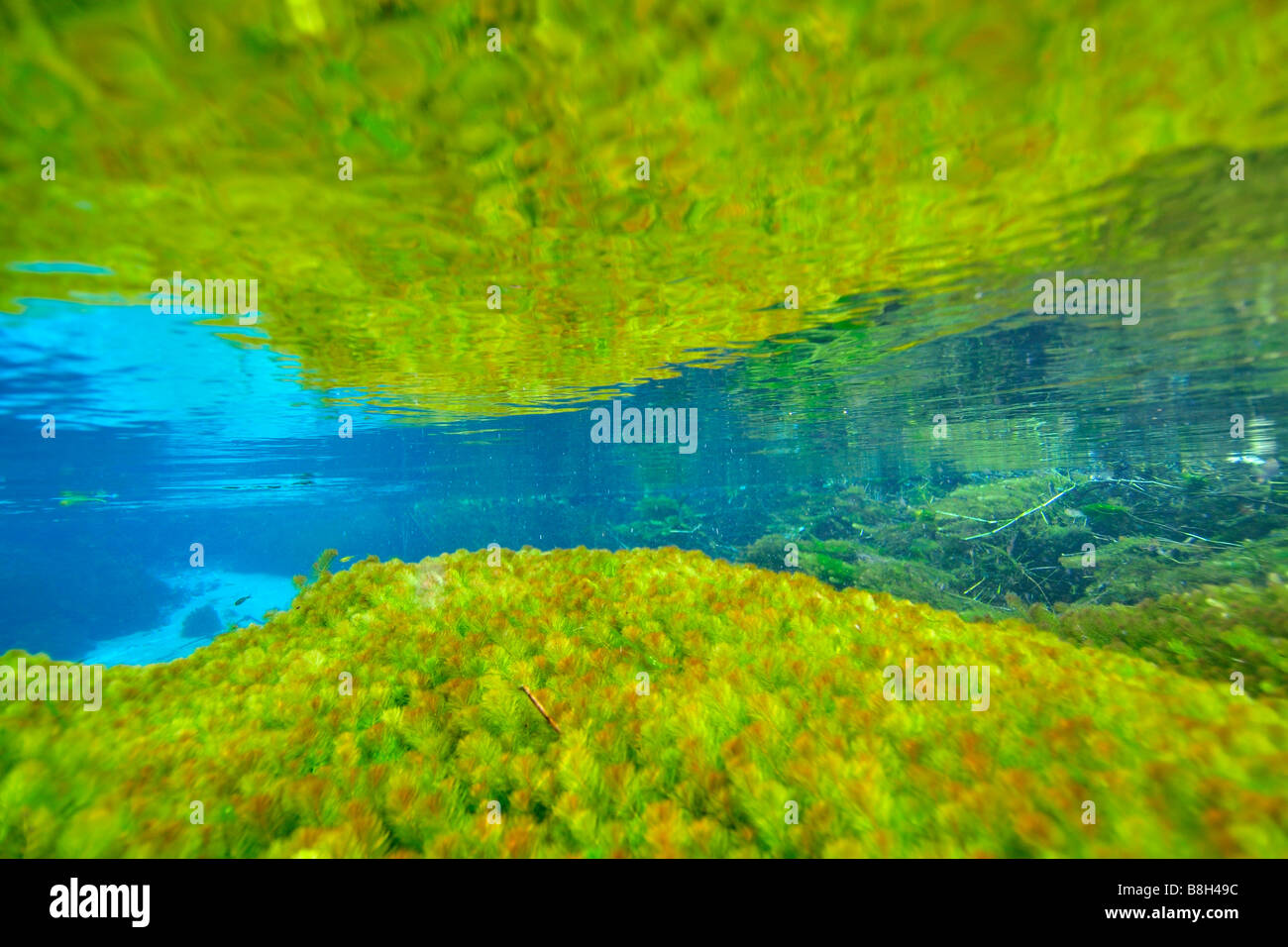 Chara river hi-res stock photography and images - Alamy