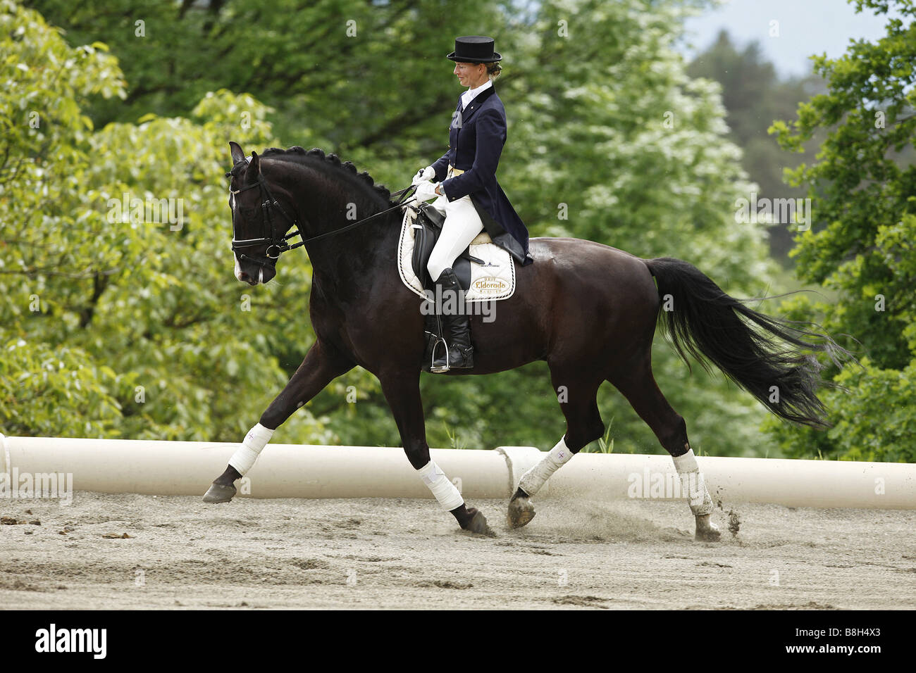 Woman Horse Riding Dress High Resolution Stock Photography and Images ...