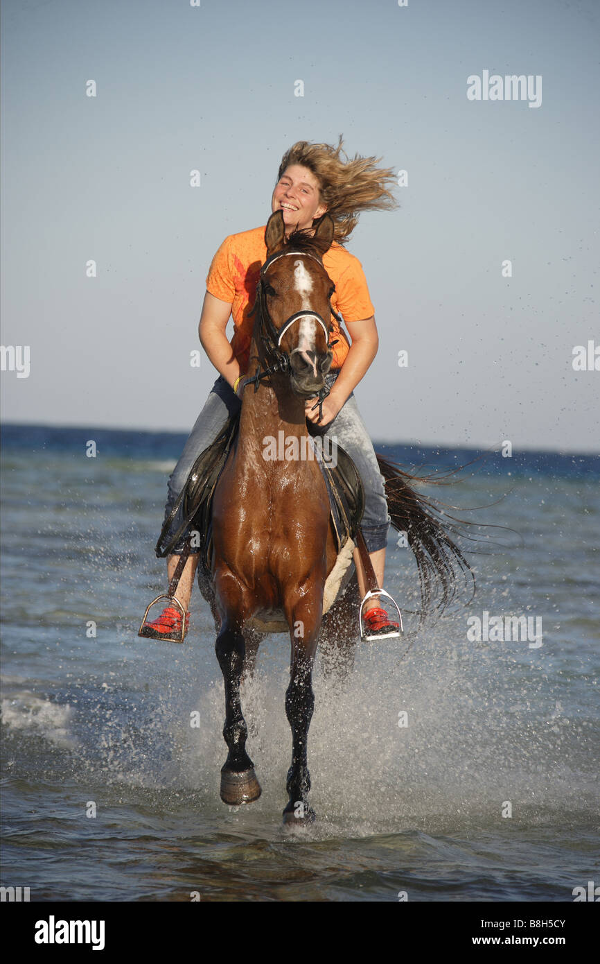 rider on Arabian horse - riding through water Stock Photo - Alamy