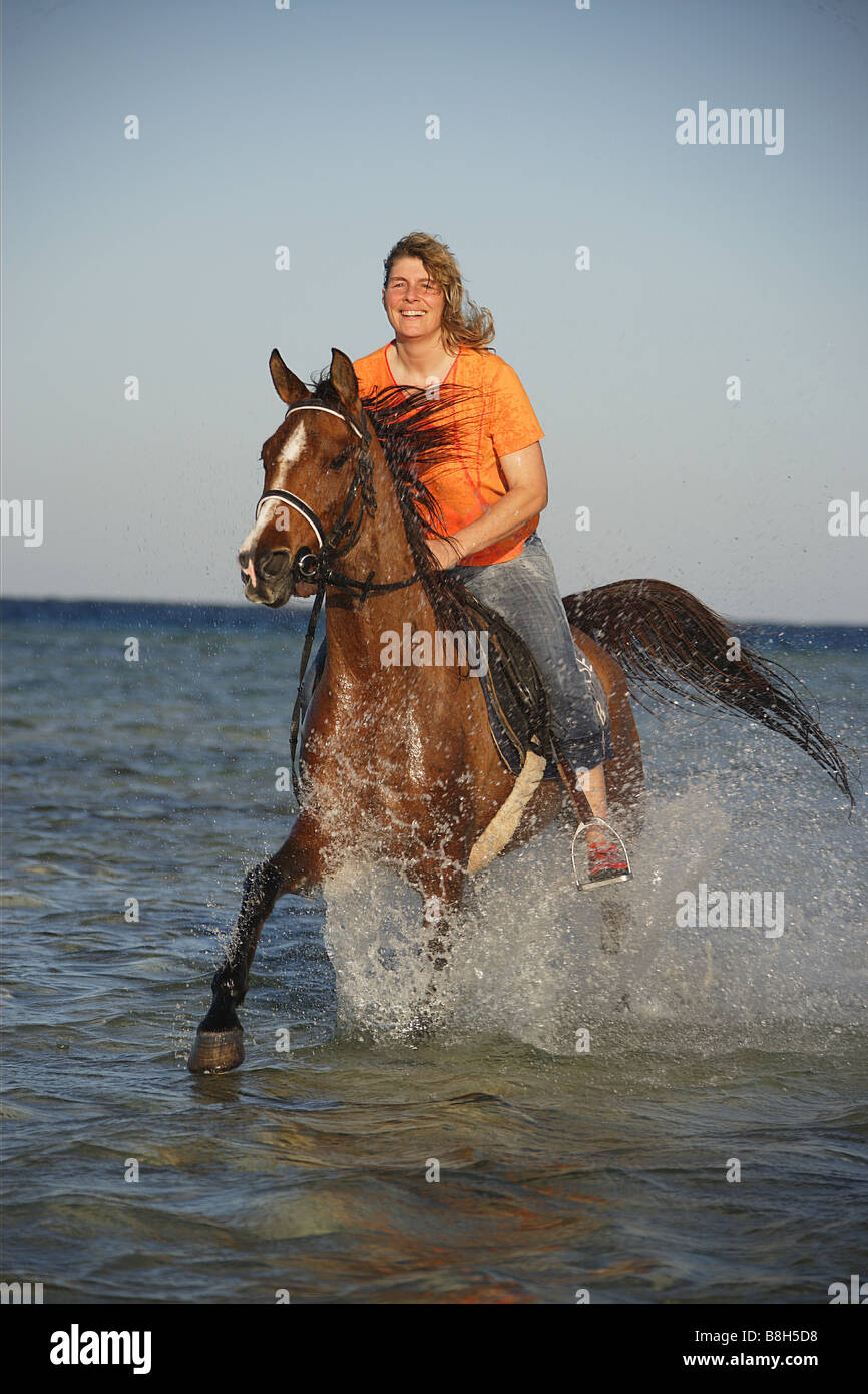 rider on Arabian horse - riding through water Stock Photo - Alamy