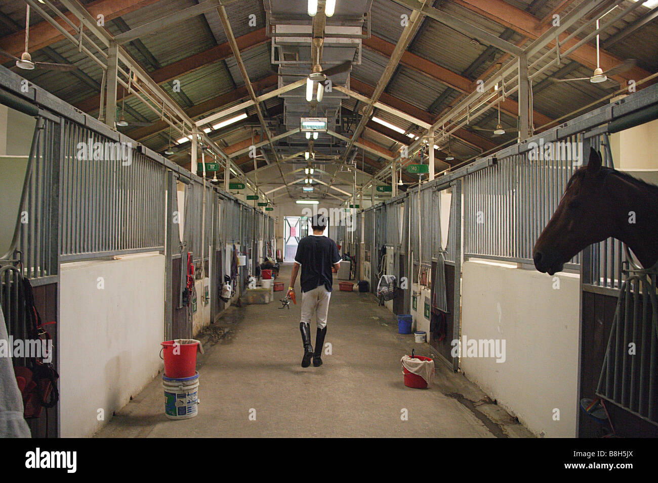 Man walking with horse hi-res stock photography and images - Alamy