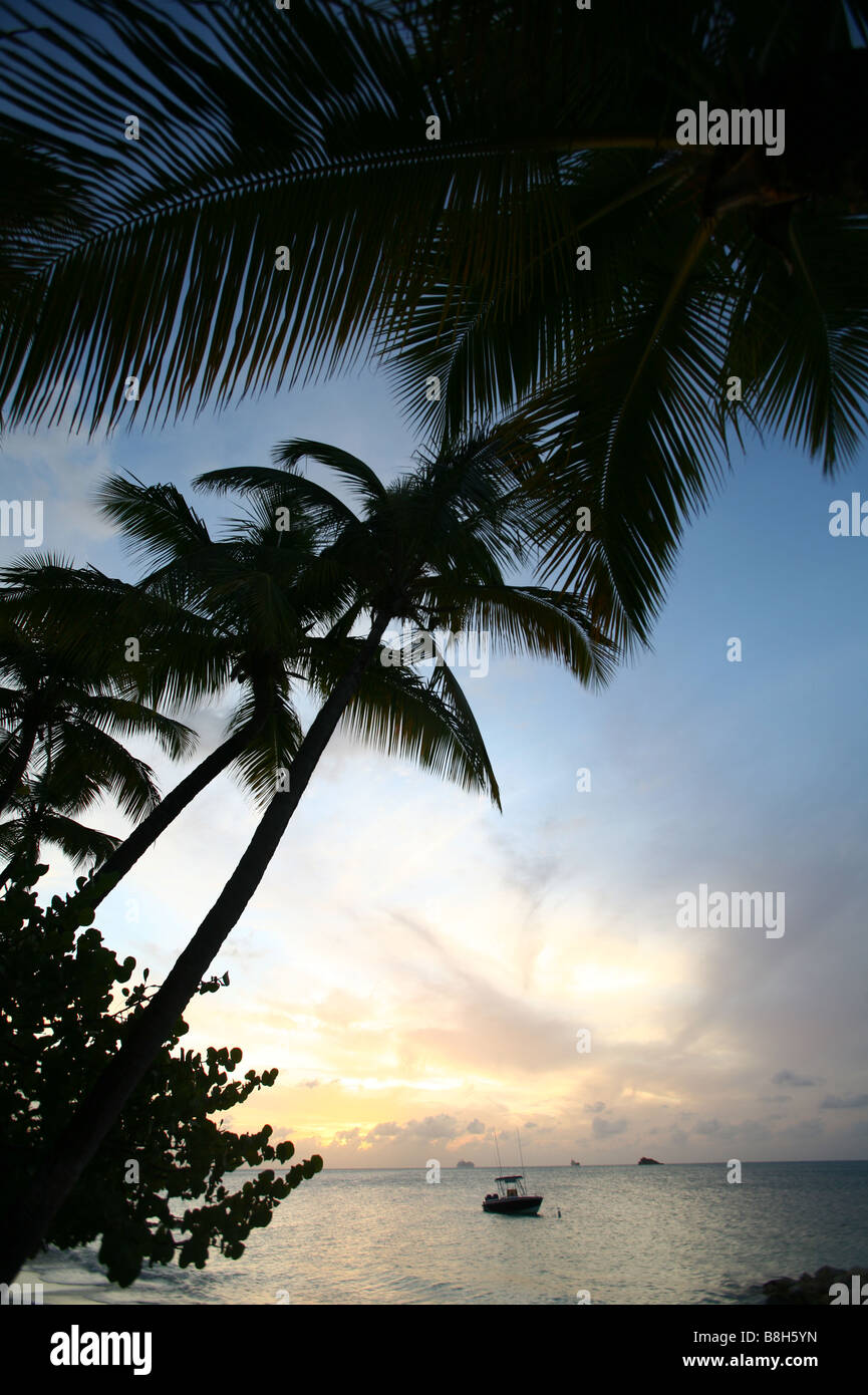View during sunset over the ocean from the Caribbean isle Antigua in ...