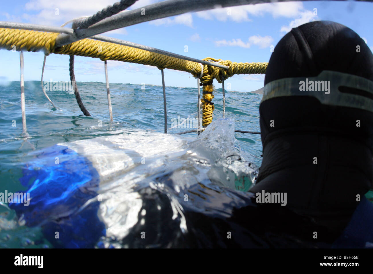 Sharks diving cages hi-res stock photography and images - Alamy