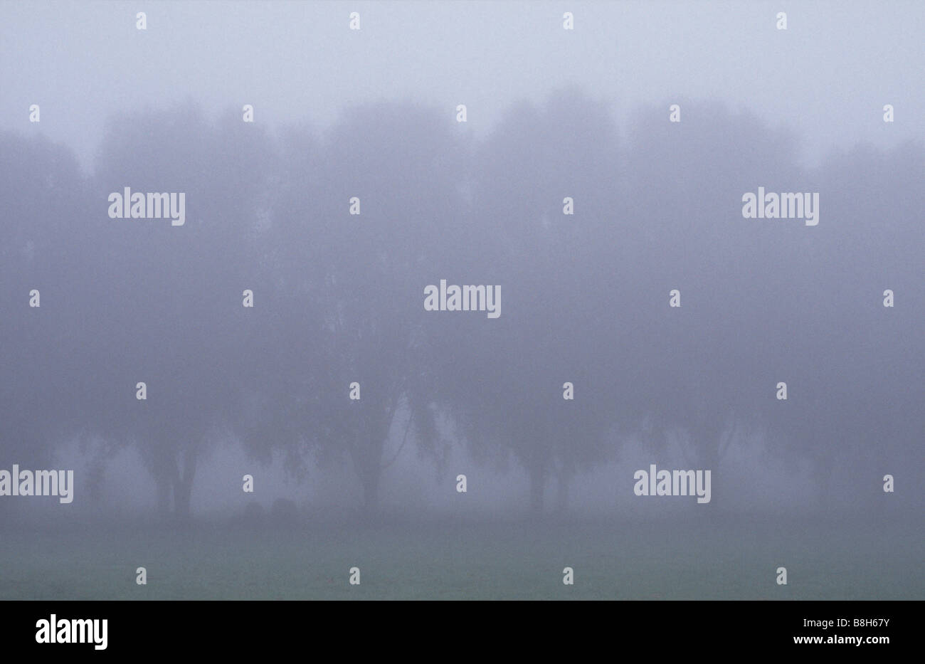 Nene park peterborough hi-res stock photography and images - Alamy