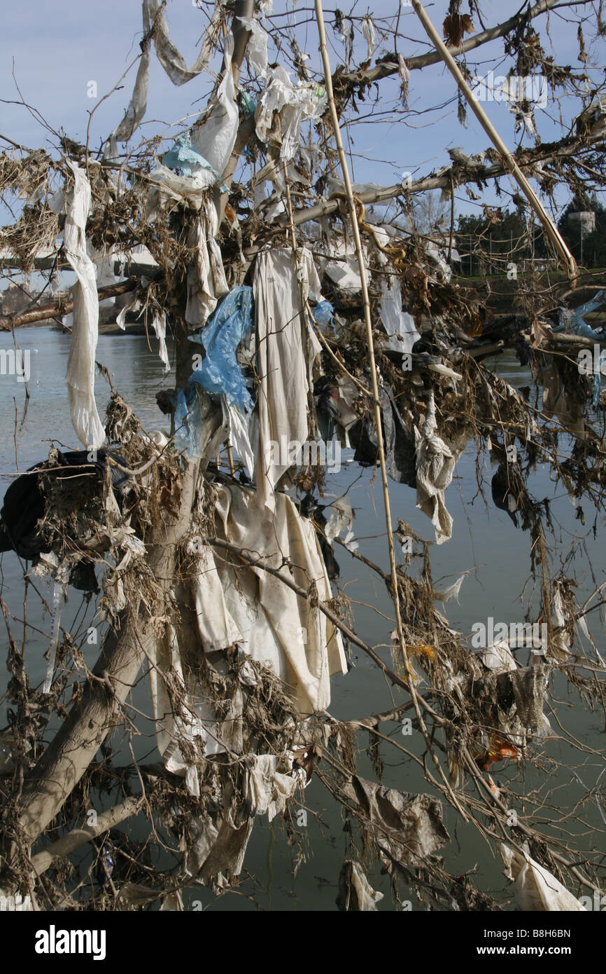 lots of rubbish stuck in tree branches in countryside after river flood ...
