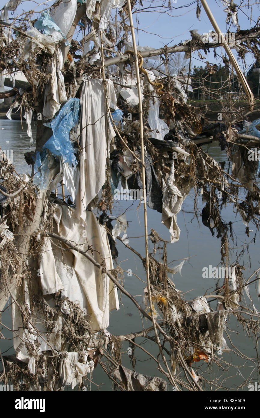lots of rubbish stuck in tree branches in countryside after river flood ...