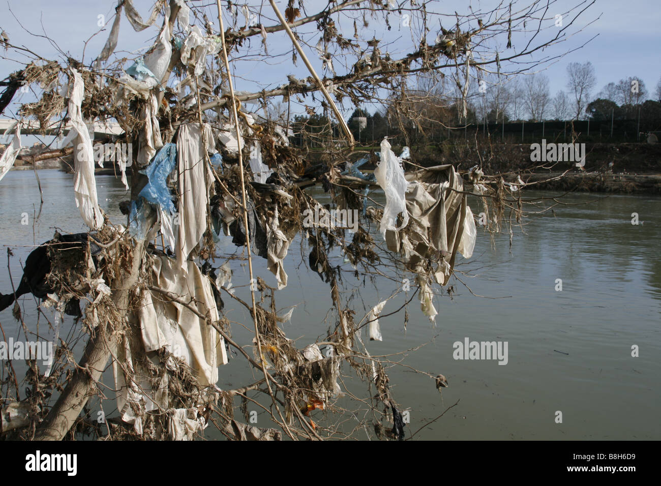 lots of rubbish stuck in tree branches in countryside after river flood ...