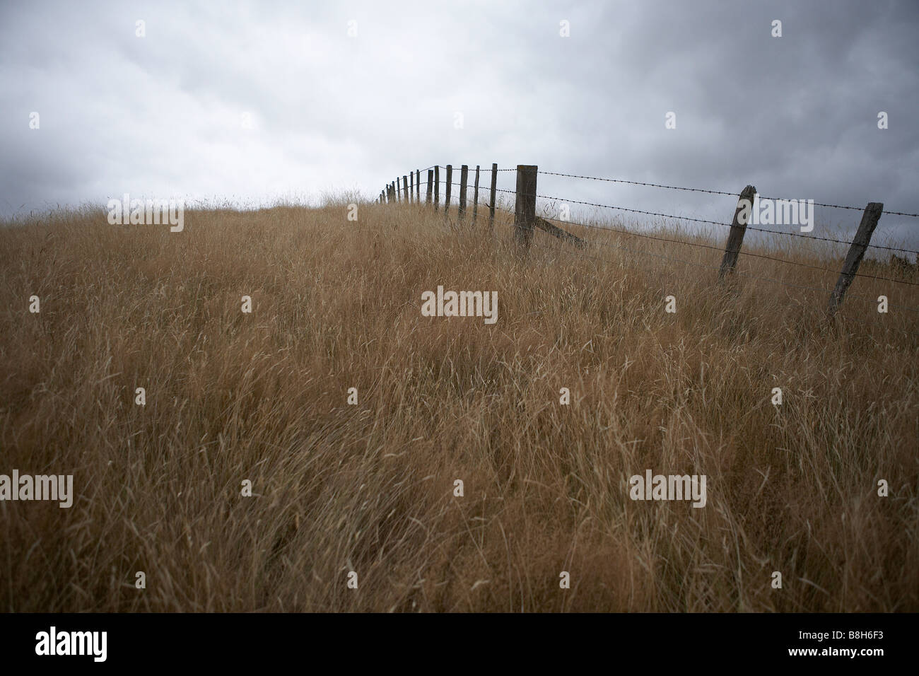 field & fence Stock Photo - Alamy