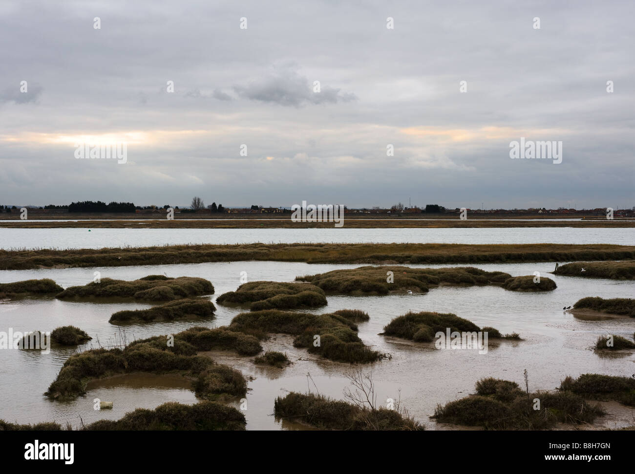 The inter tidal mudflats on the Essex coast Stock Photo - Alamy