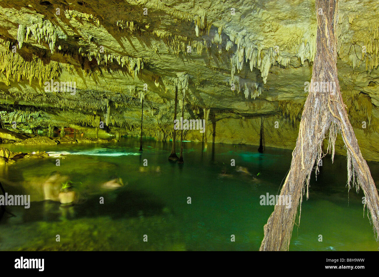 Cenote Hidden Worlds Cenotes park Tulum Quintana Roo state Mayan ...