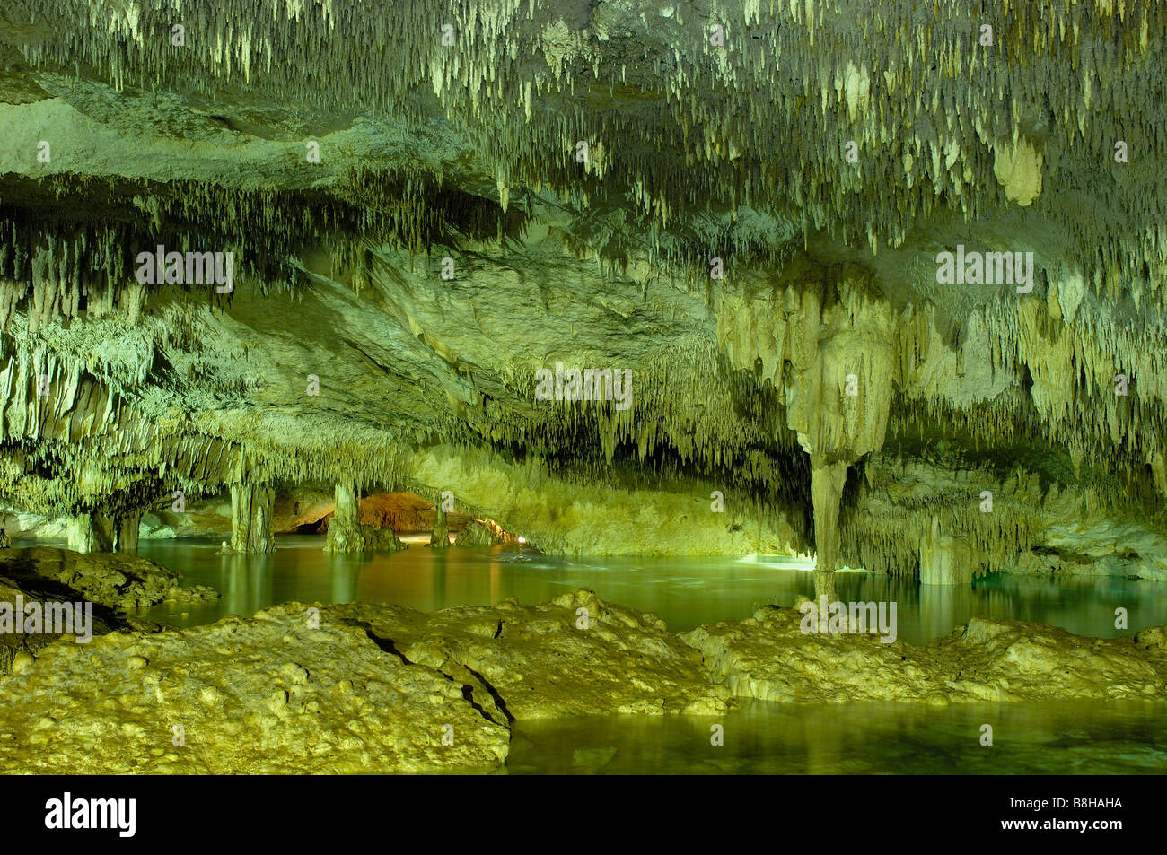 Cenote Hidden Worlds Cenotes park Tulum Quintana Roo state Mayan ...