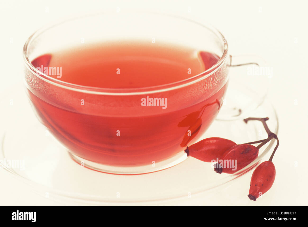 Dog Rose, Common Briar Rose (Rosa canina), rose hips in front of a cup ...