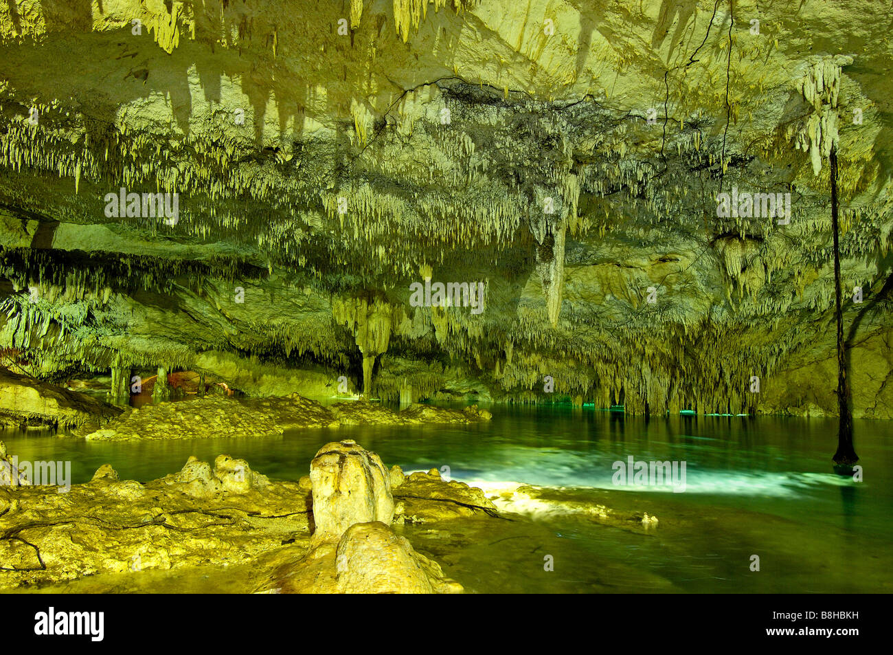 Cenote Hidden Worlds Cenotes park Tulum Quintana Roo state Mayan ...