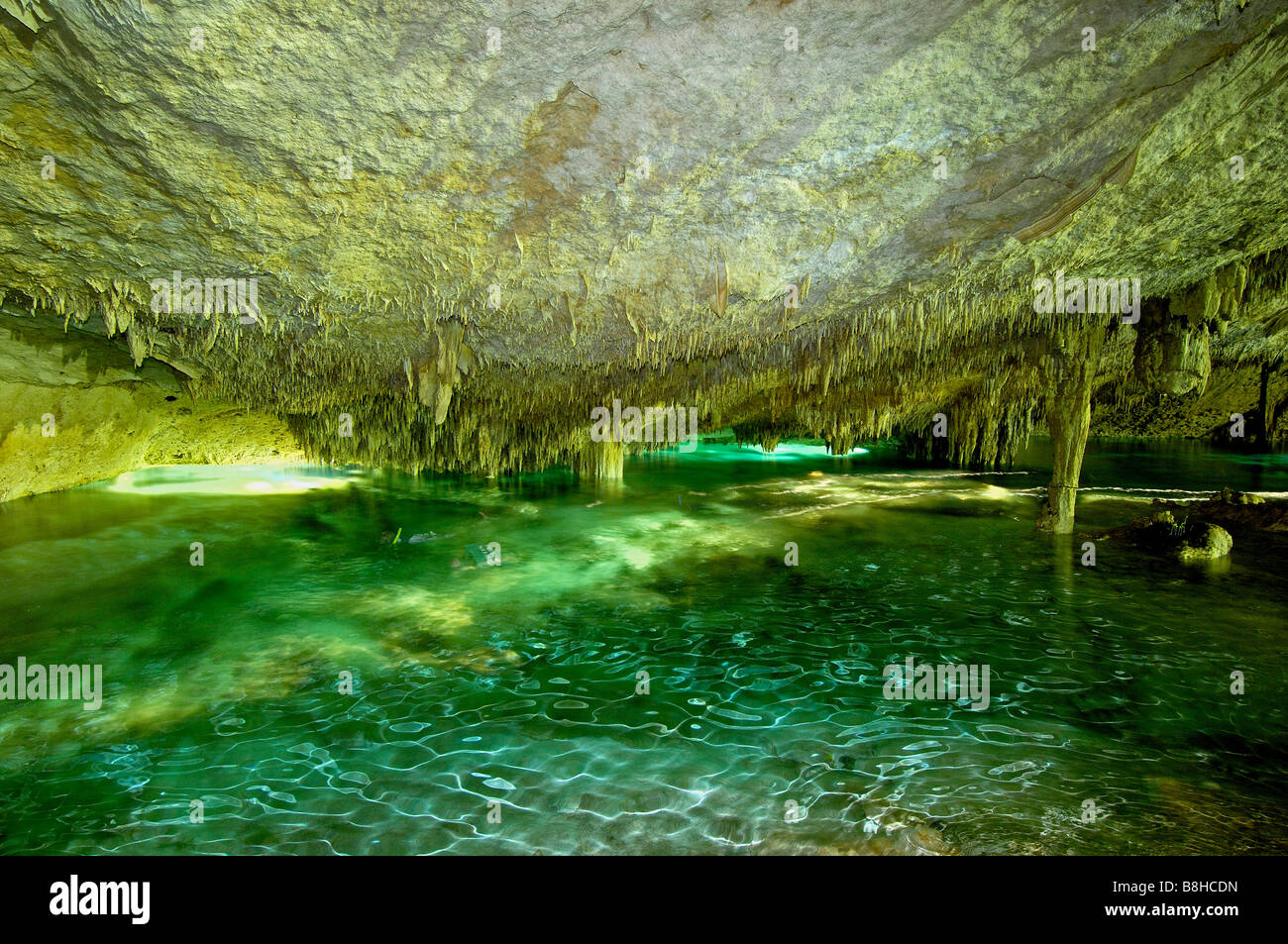 Cenote Hidden Worlds Cenotes park Tulum Quintana Roo state Mayan ...
