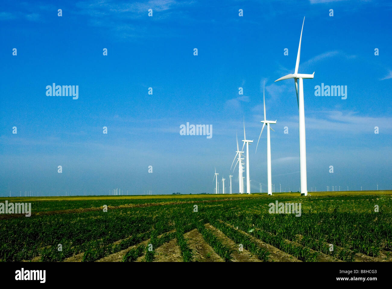 Windmills in west texas hi-res stock photography and images - Alamy