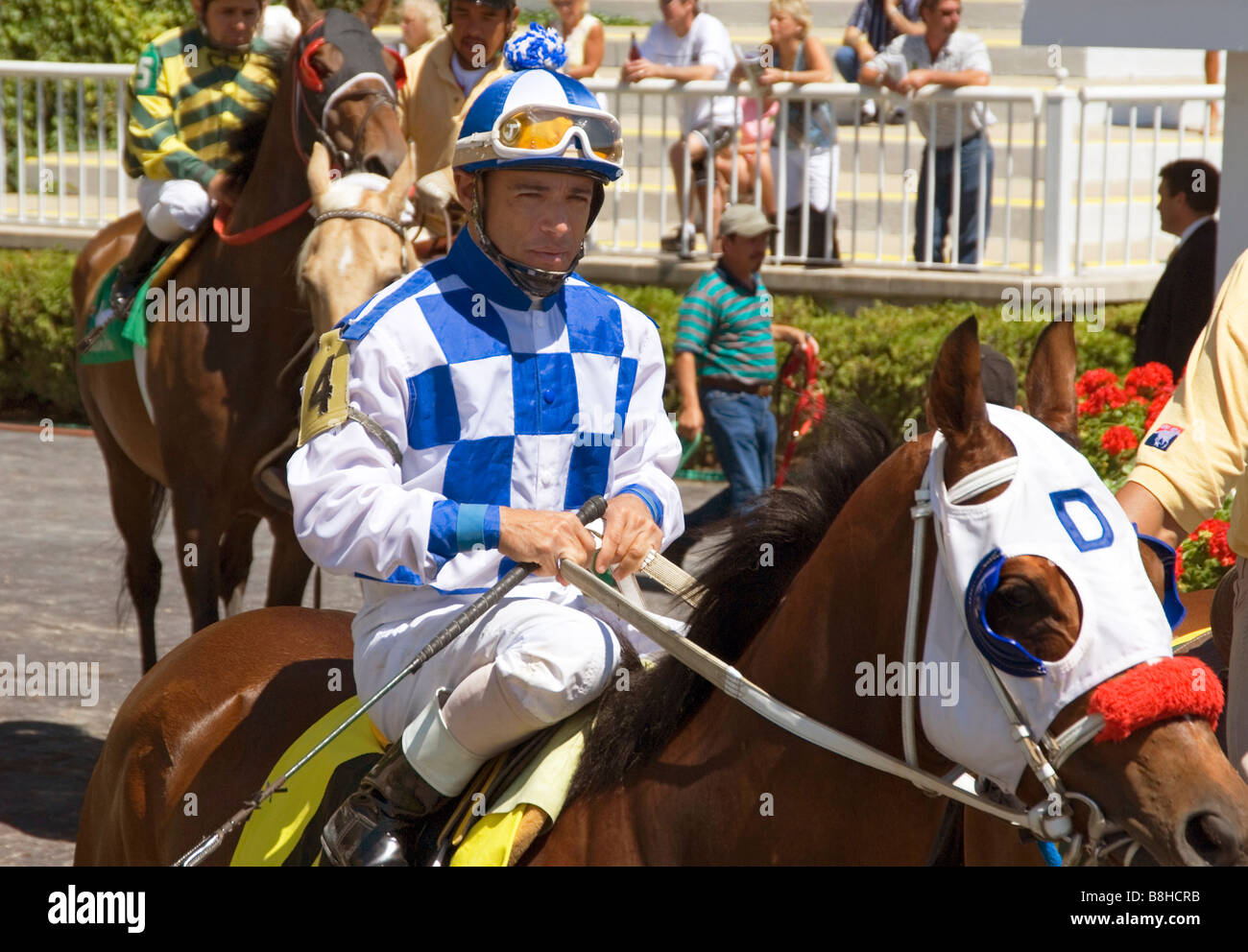 Thoroughbred race horse being ridden out to track by jockey Stock Photo ...
