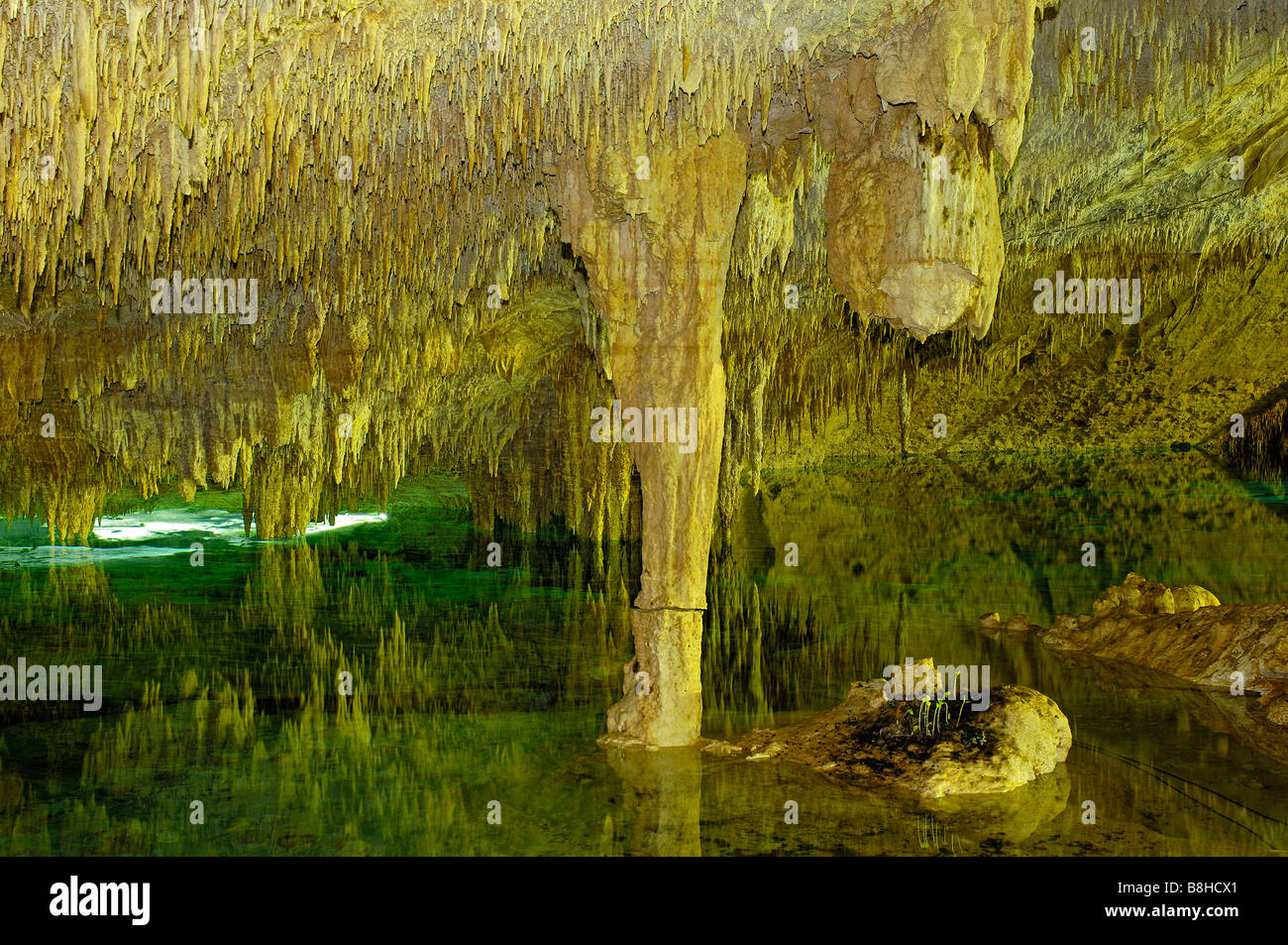 Cenote Hidden Worlds Cenotes park Tulum Quintana Roo state Mayan ...