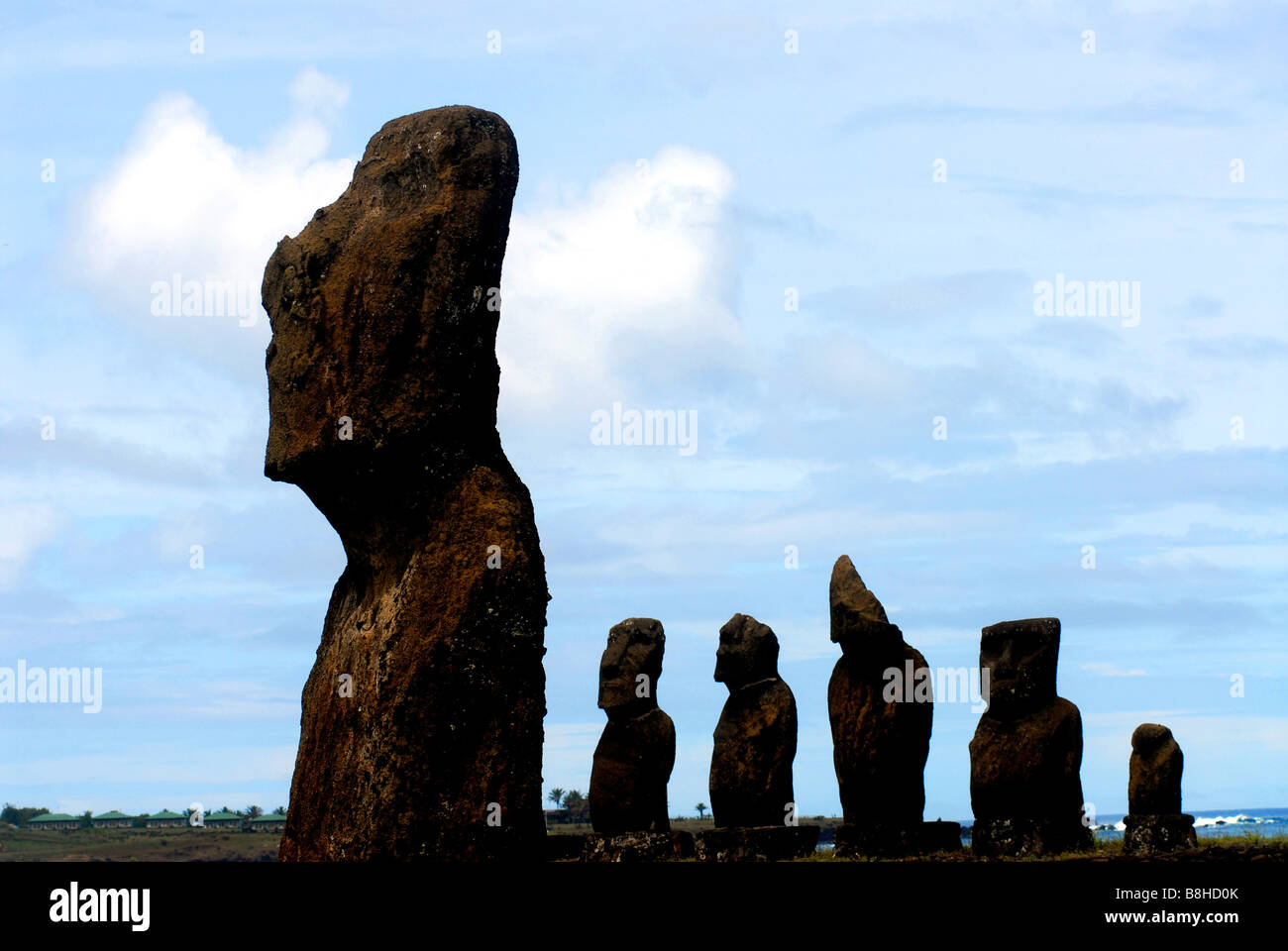 Moa symbol hi-res stock photography and images - Alamy