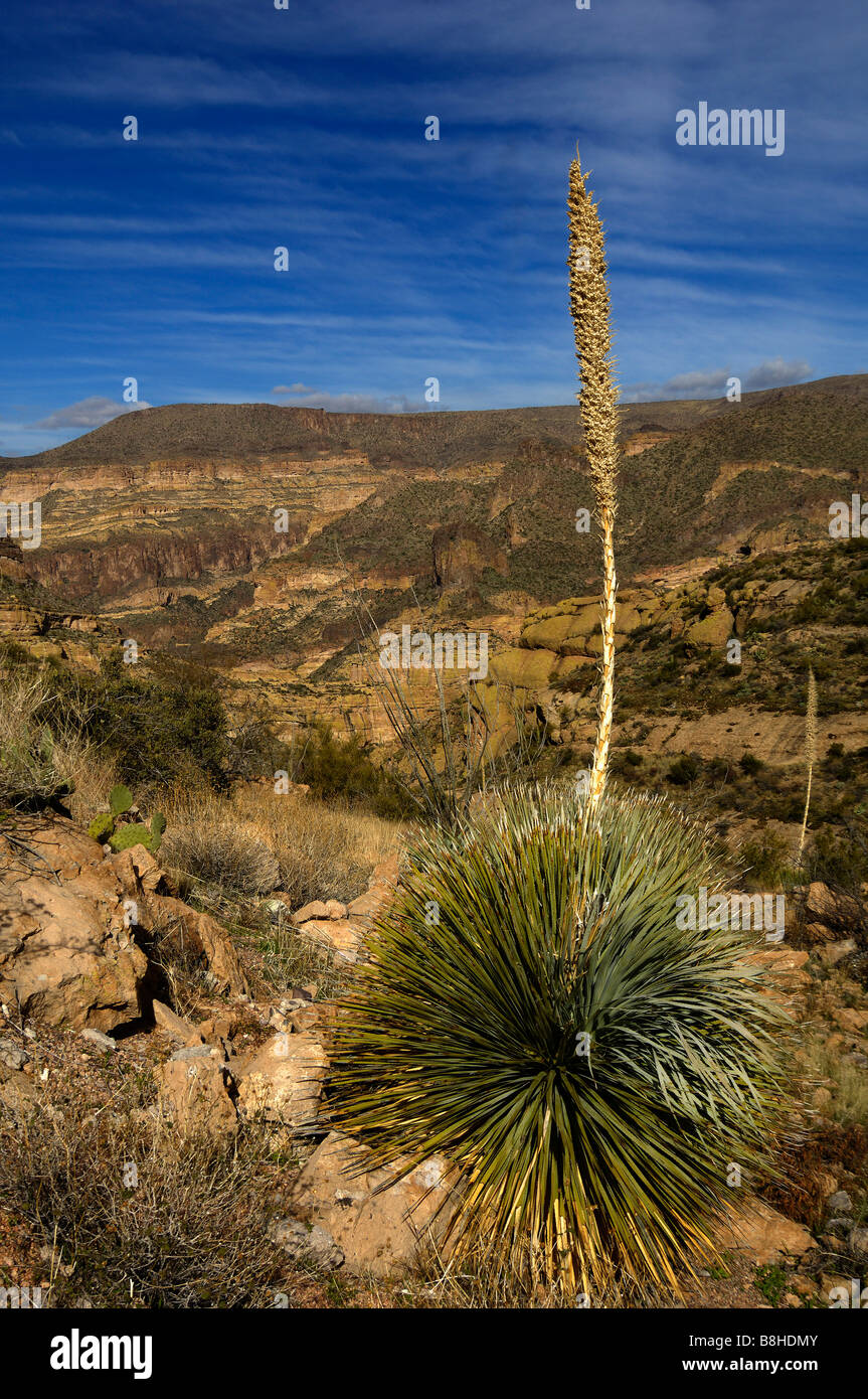 Apache trail hi-res stock photography and images - Alamy