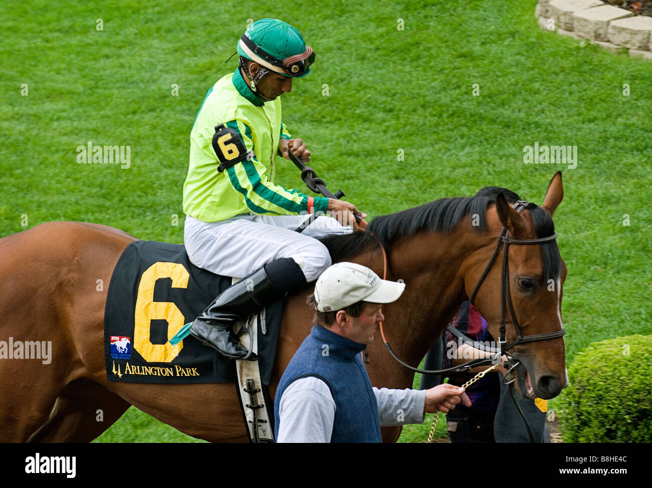 Horse Being Led at Tamara Wickline blog