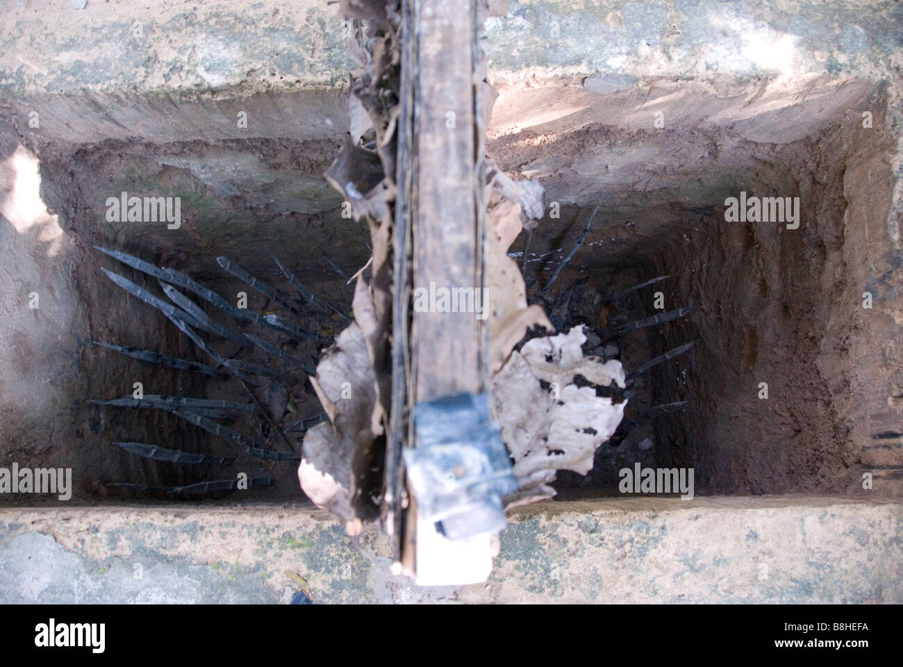 Man trap. Bamboo spikes dug into holes in the ground and then covered ...