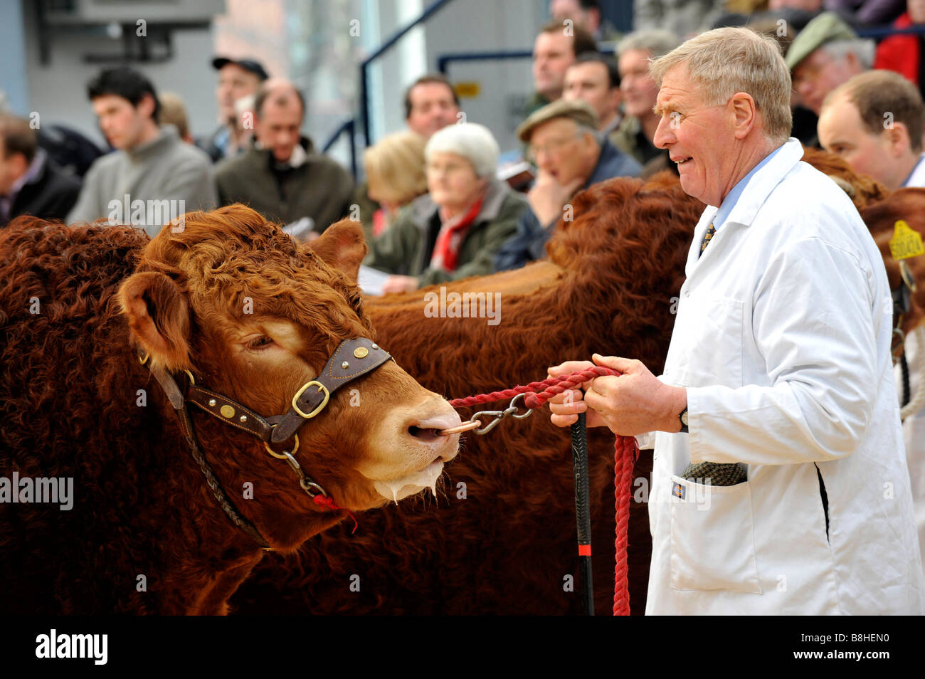 Man farmer farming lead hi-res stock photography and images - Alamy