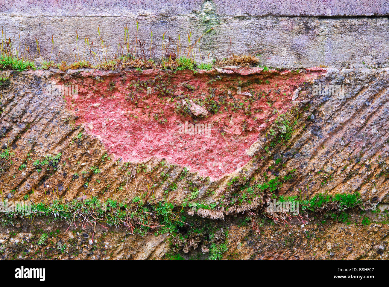 Effects of frost shattering on moss-covered house brick Stock Photo - Alamy