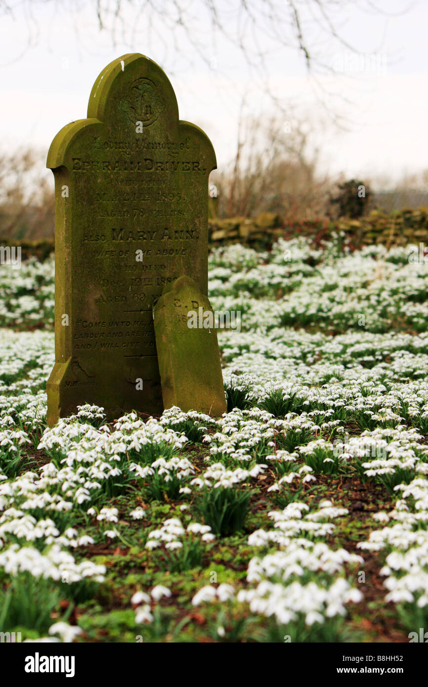 Victorian gravestone hi-res stock photography and images - Alamy