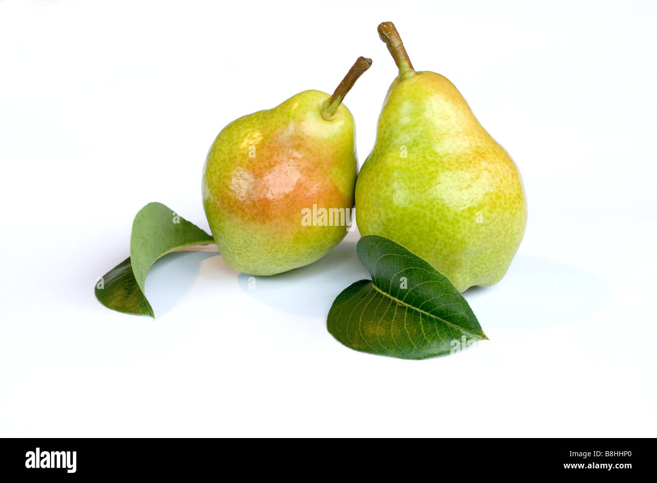 Two pears Cut Out Stock Images & Pictures - Alamy