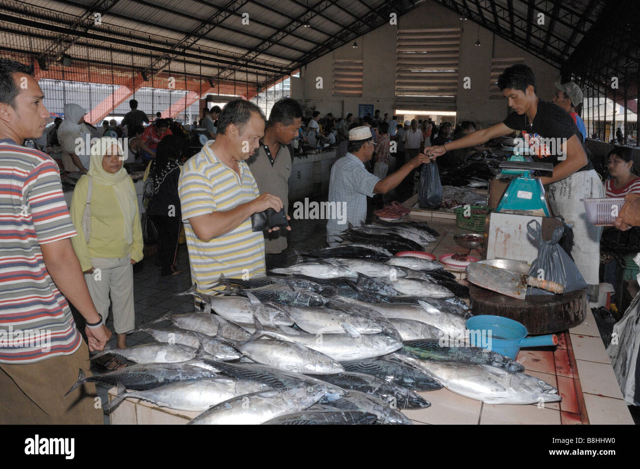Fish for sale interior of SAFMA fish market Kota Kinabalu Sabah ...