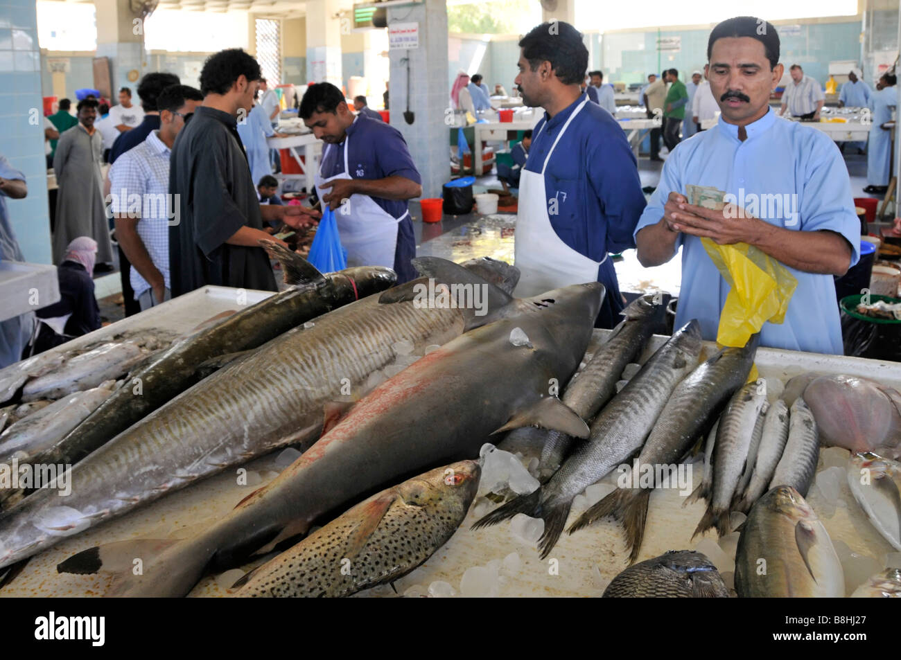 Fish displays and fishmonger vendors at work in Fujairah fish market ...