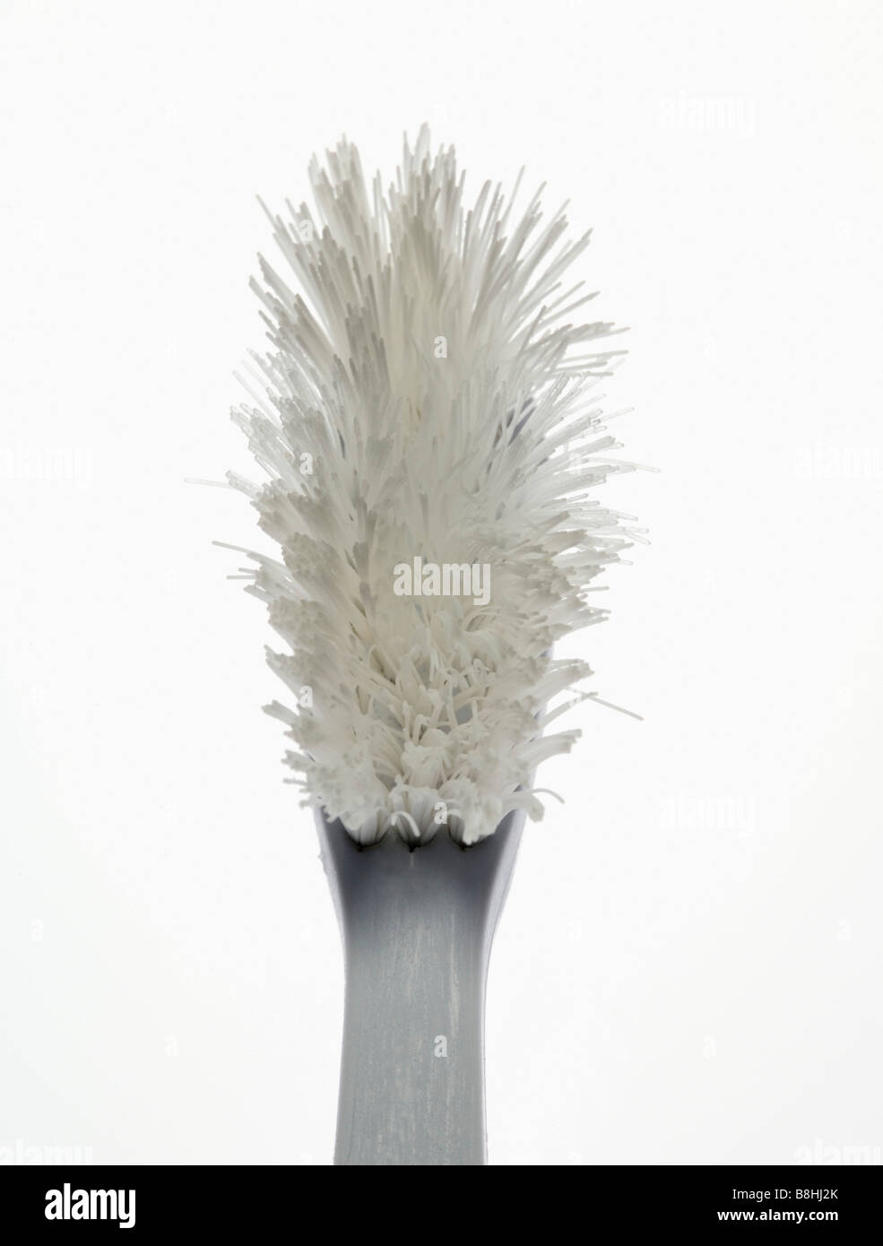 Used toothbrush head Stock Photo - Alamy