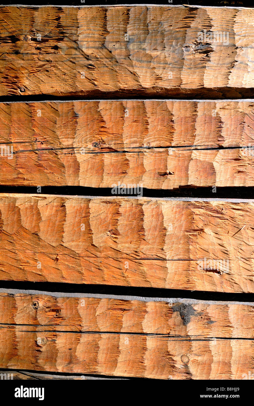 The fine abstract details of the pine wood, Pinus sylvestris, log wall ...