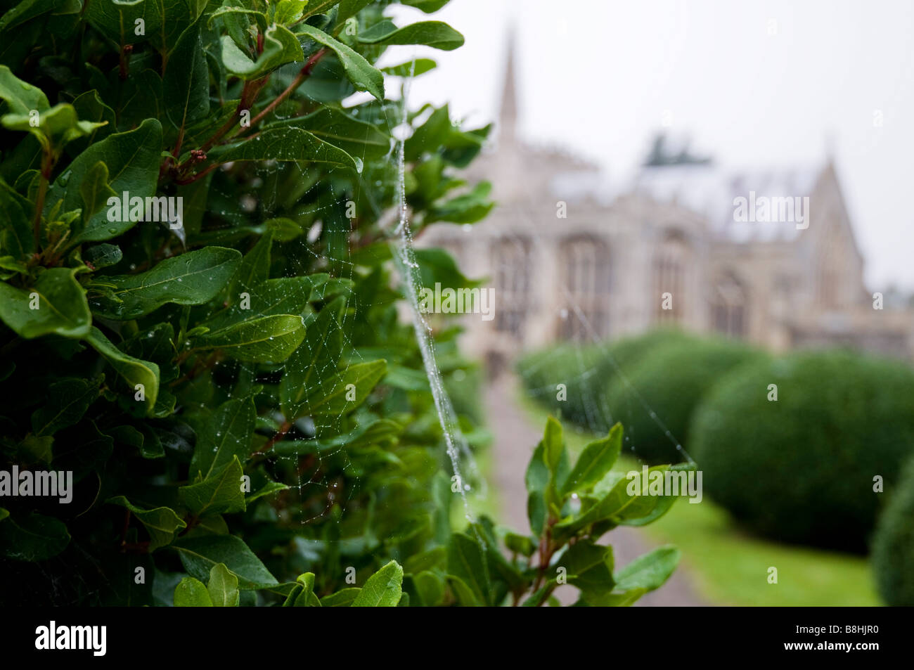 Church and Spider Web Stock Photo - Alamy