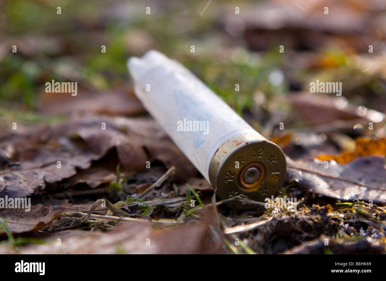 Shotgun shell pellets hi-res stock photography and images - Alamy