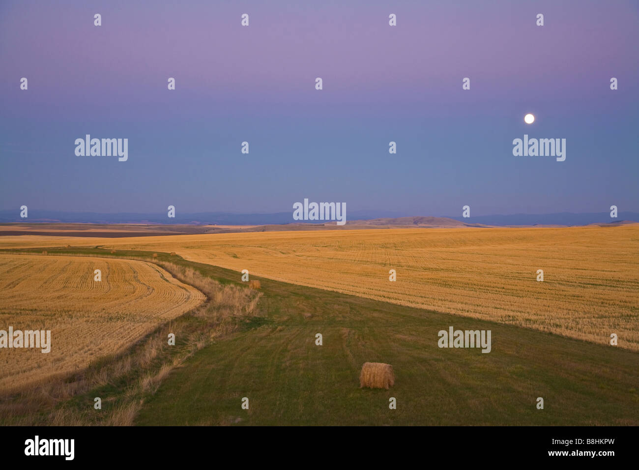 Nez perce reservation hi-res stock photography and images - Alamy