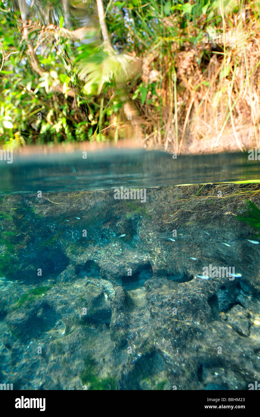 Sucuri river hi-res stock photography and images - Alamy