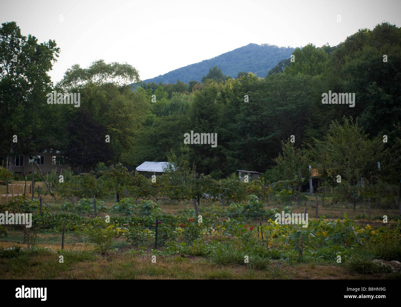 Orchard farm house hi-res stock photography and images - Alamy