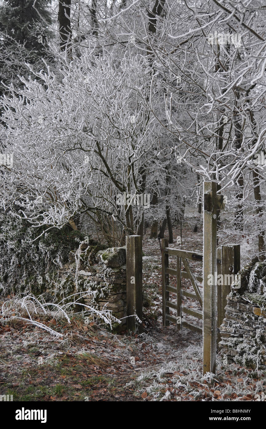 Country gate and trees covered in heavy frost Stock Photo - Alamy