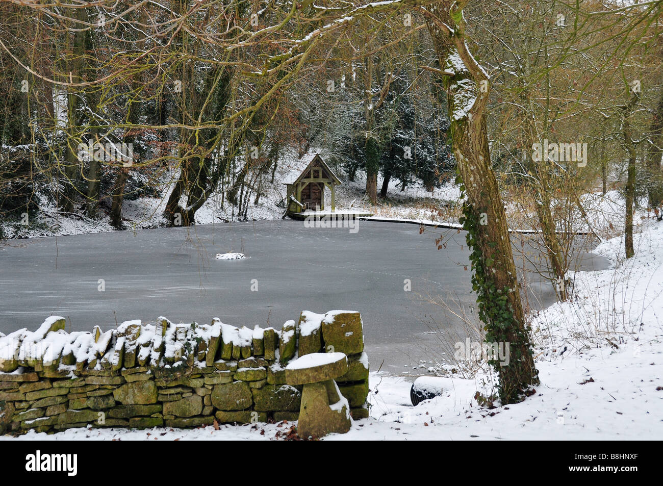 Pond surrounded by trees hi-res stock photography and images - Alamy