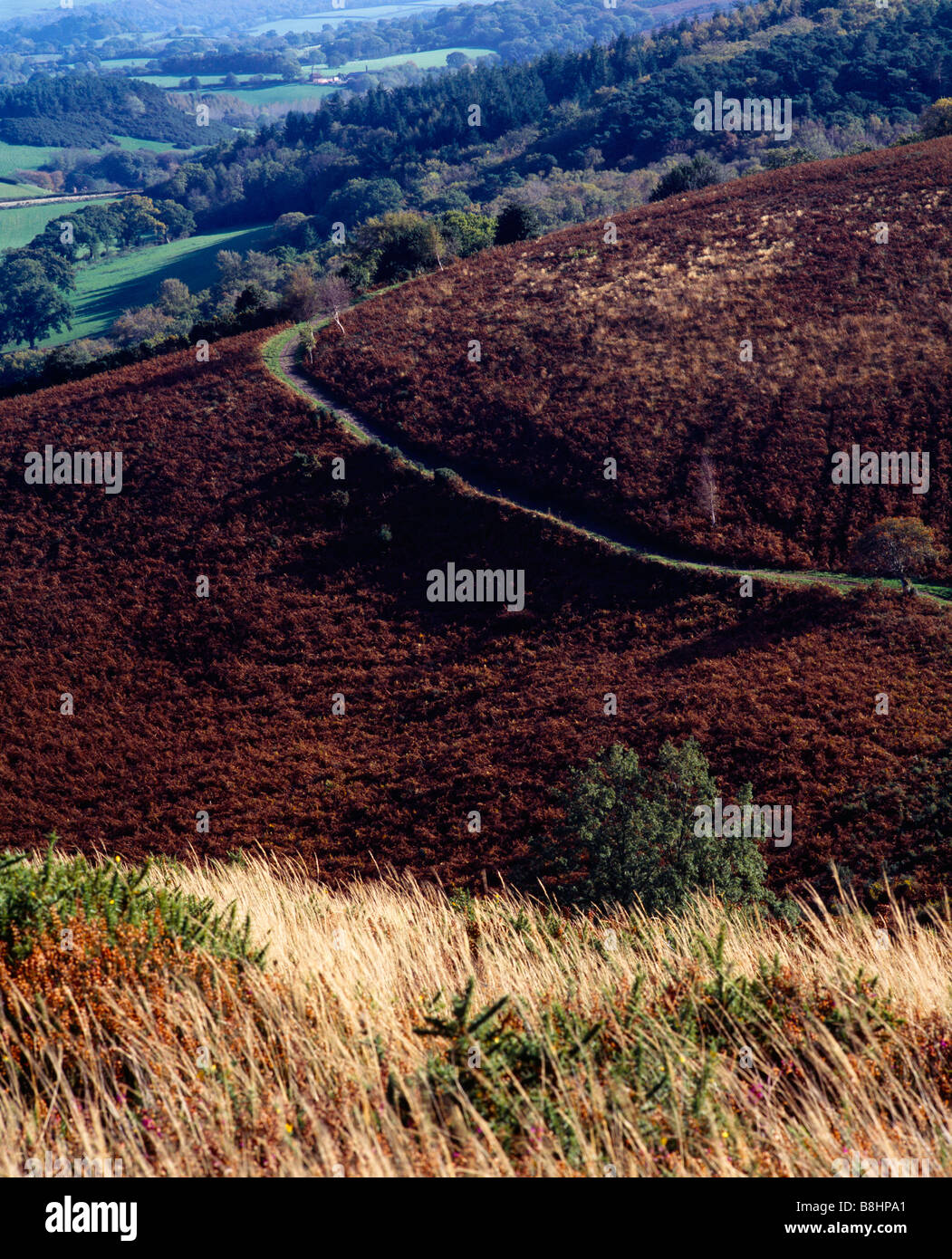 Ley hill park hi-res stock photography and images - Alamy