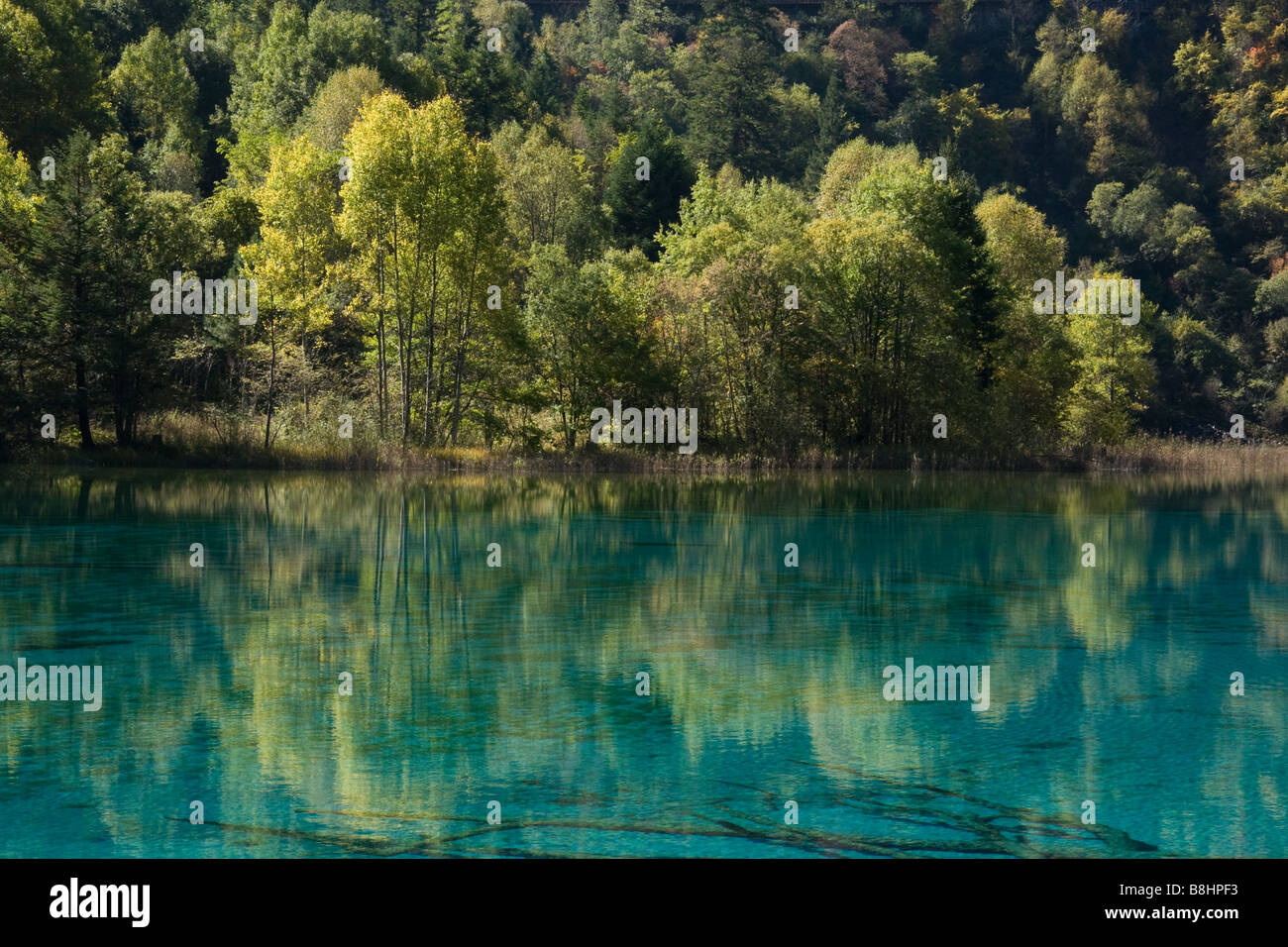 The Peacock lake in Jiu Zhai Gou, China Stock Photo - Alamy