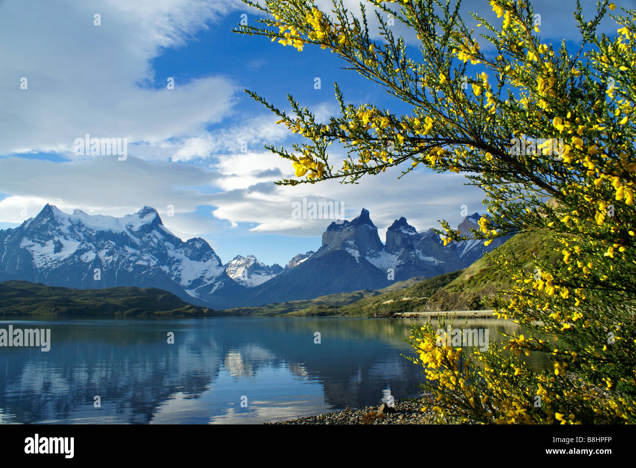 Springtime in Torres del Paine National Park, Patagonia, Chile Stock ...