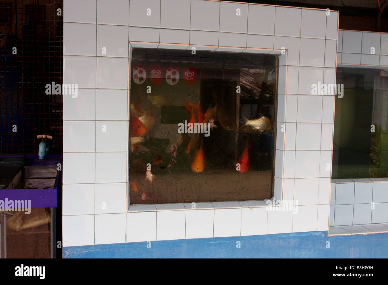 Restaurant fish tank hi-res stock photography and images - Alamy