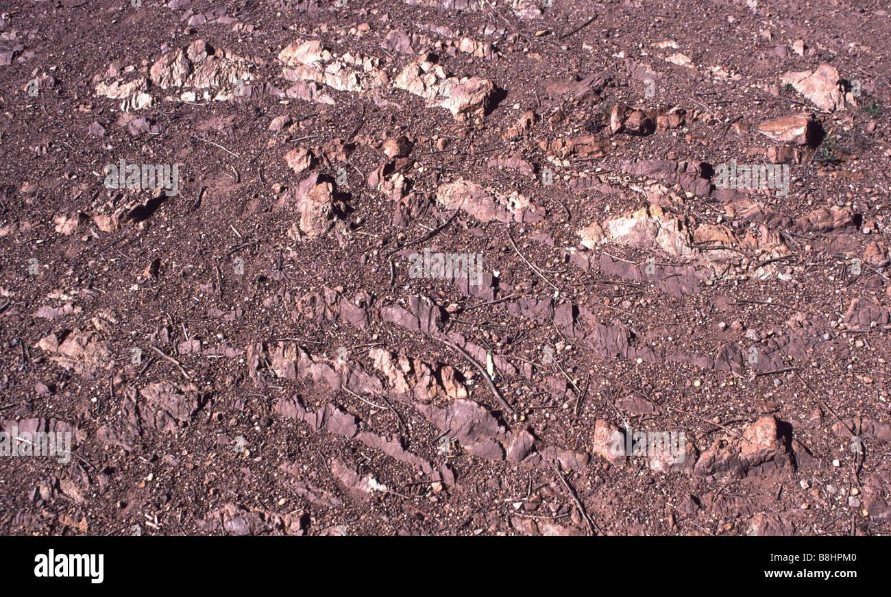 Chert sedimentary rock San Francisco California USA Stock Photo - Alamy