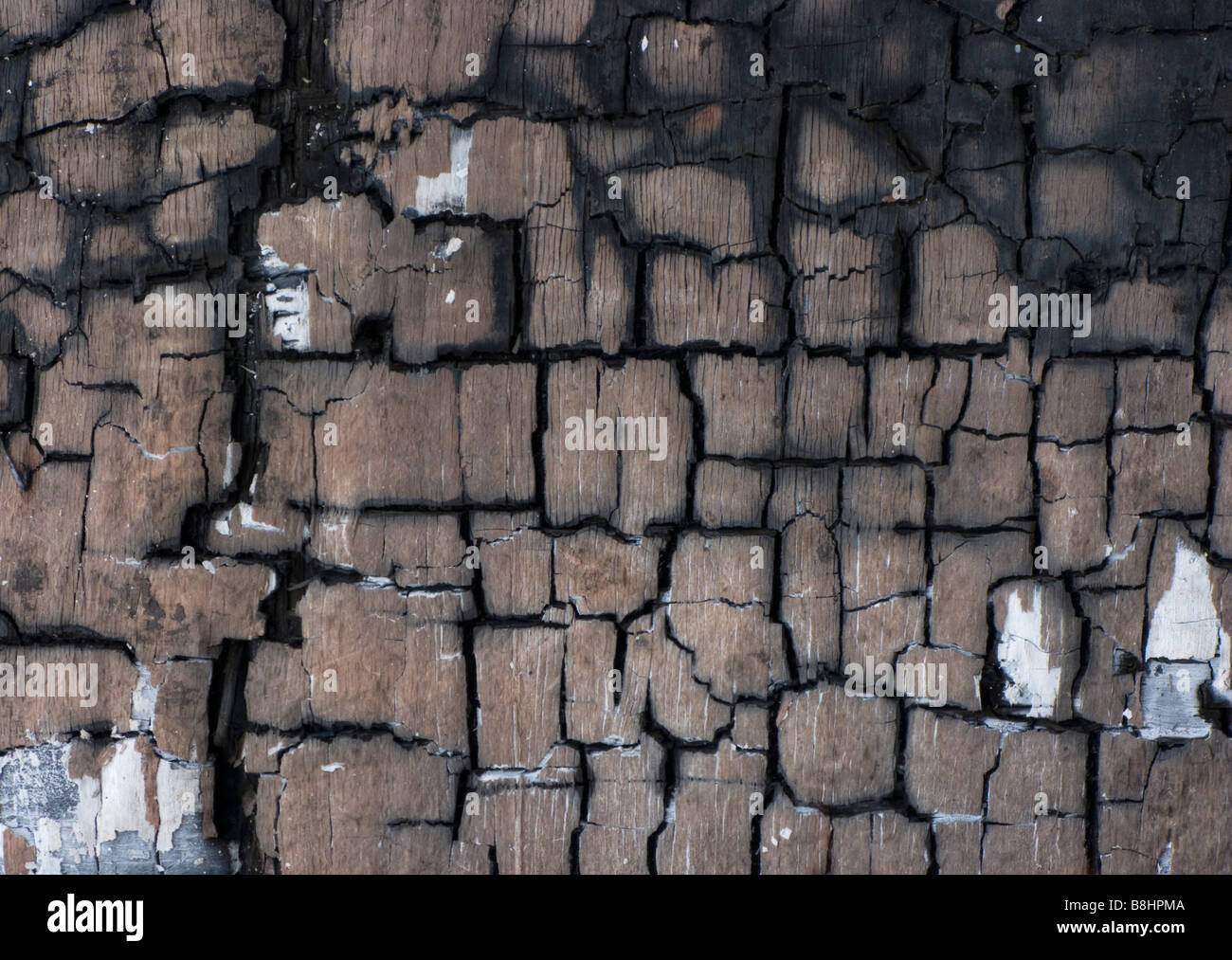 Wood back ground texture hi-res stock photography and images - Alamy