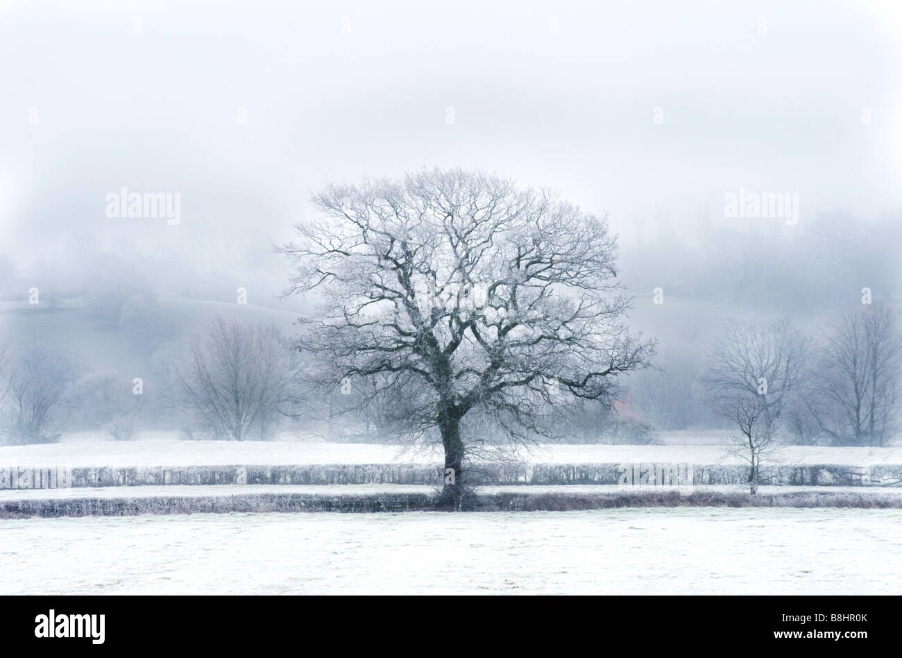 Traditional winter scene in England Stock Photo - Alamy