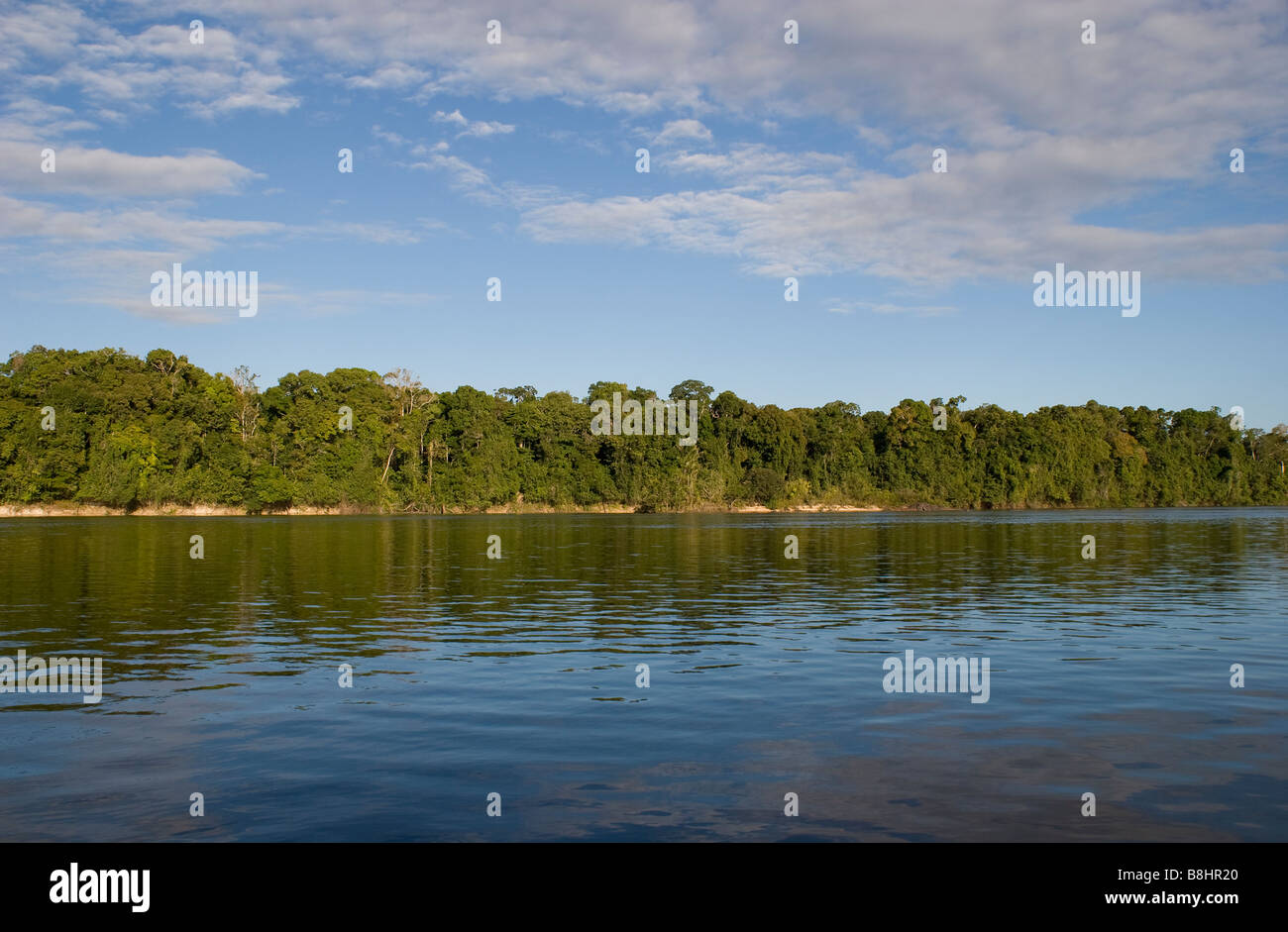 The Essequibo River High Resolution Stock Photography and Images - Alamy