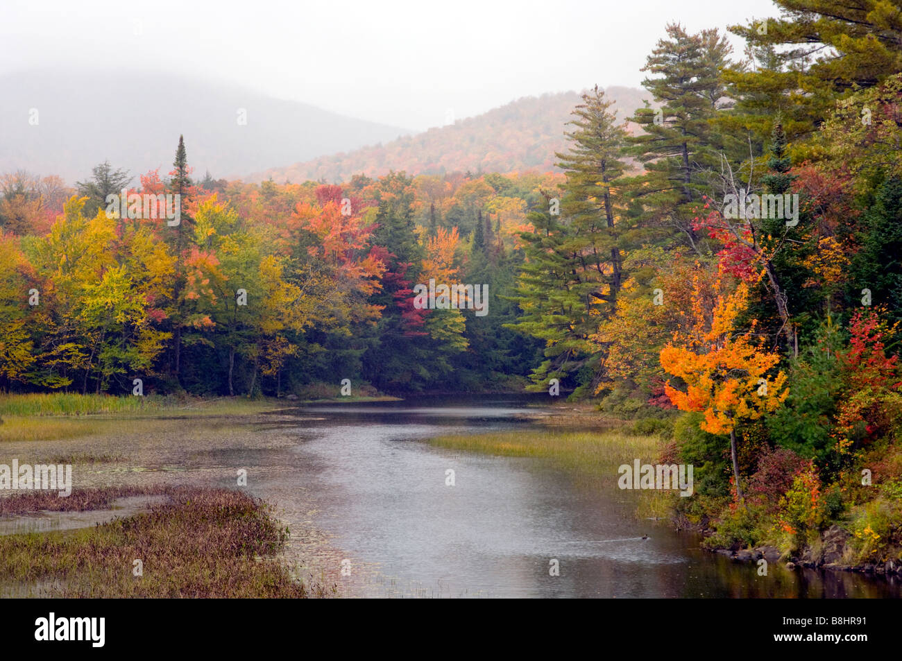 A small stream in the Adirondack Mountains with fall foliage color in ...
