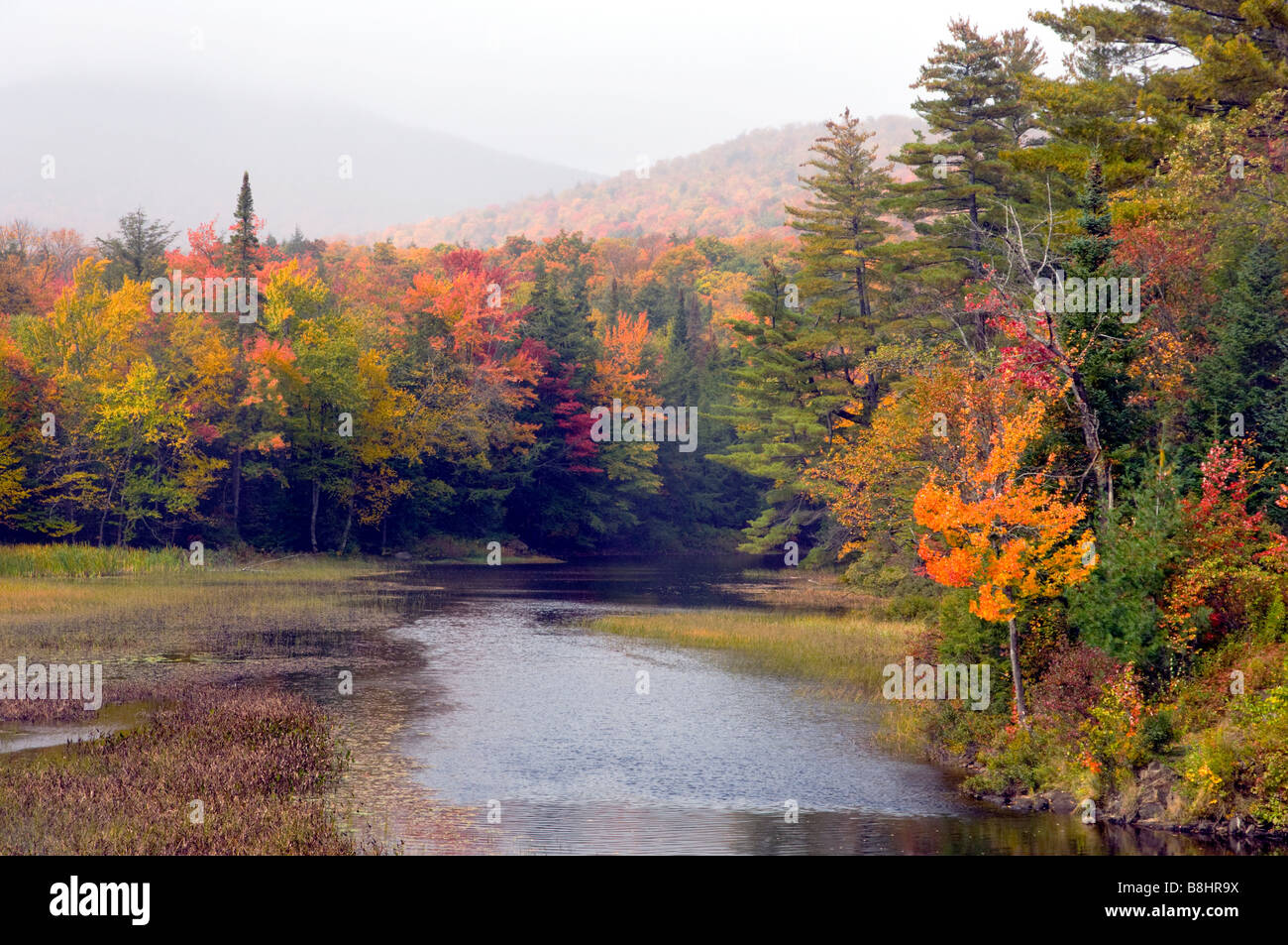 A small stream in the Adirondack Mountains with fall foliage color in ...